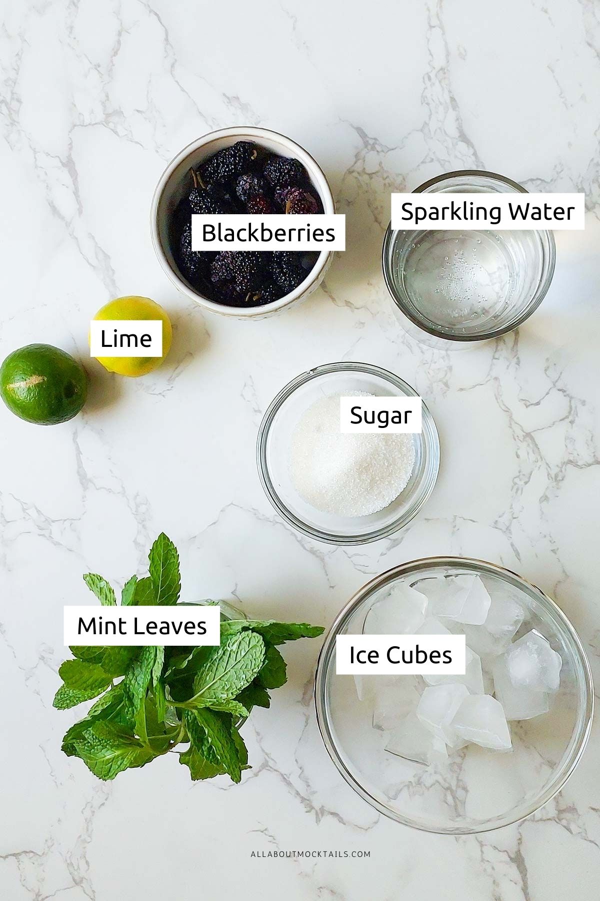 Blackberry Mojito Mocktail