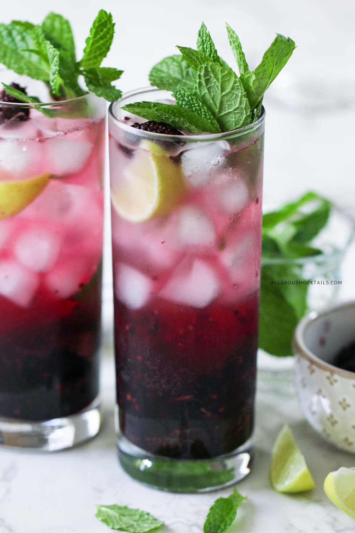 Blackberry Mojito Mocktail