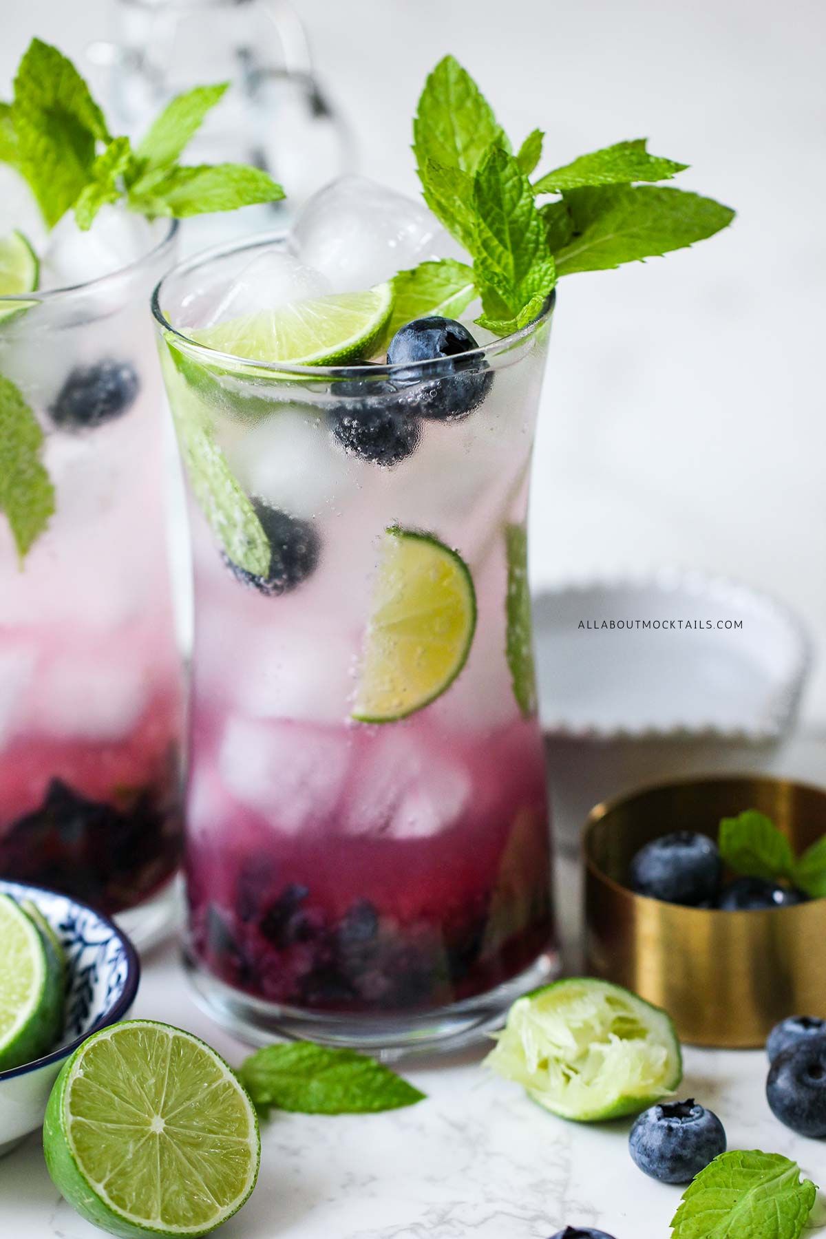Blueberry Mojito Mocktail