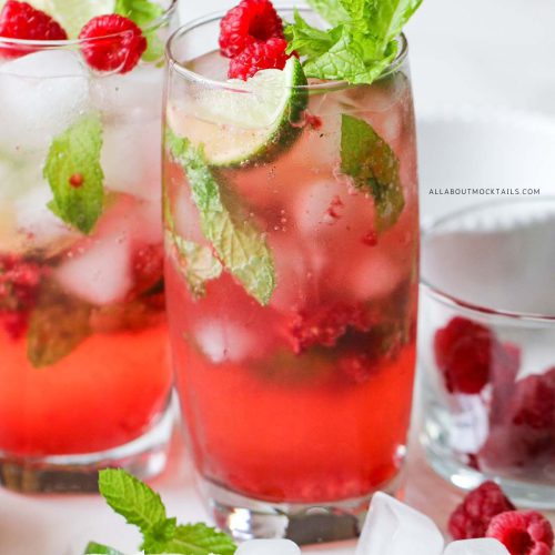 Raspberry Mojito Mocktail