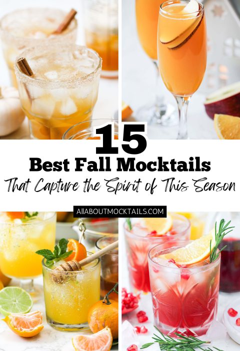 What is a Mocktail? A Guide to the Art of Non-Alcoholic Mixology
