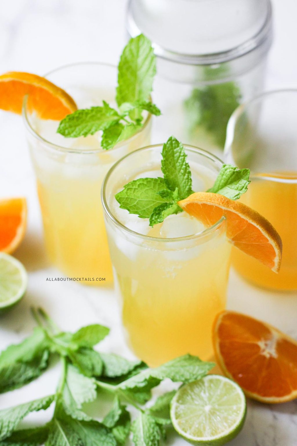 Coconut Water Mocktail