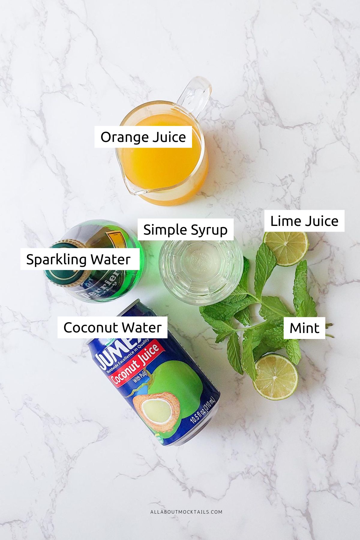 Coconut Water Mocktail