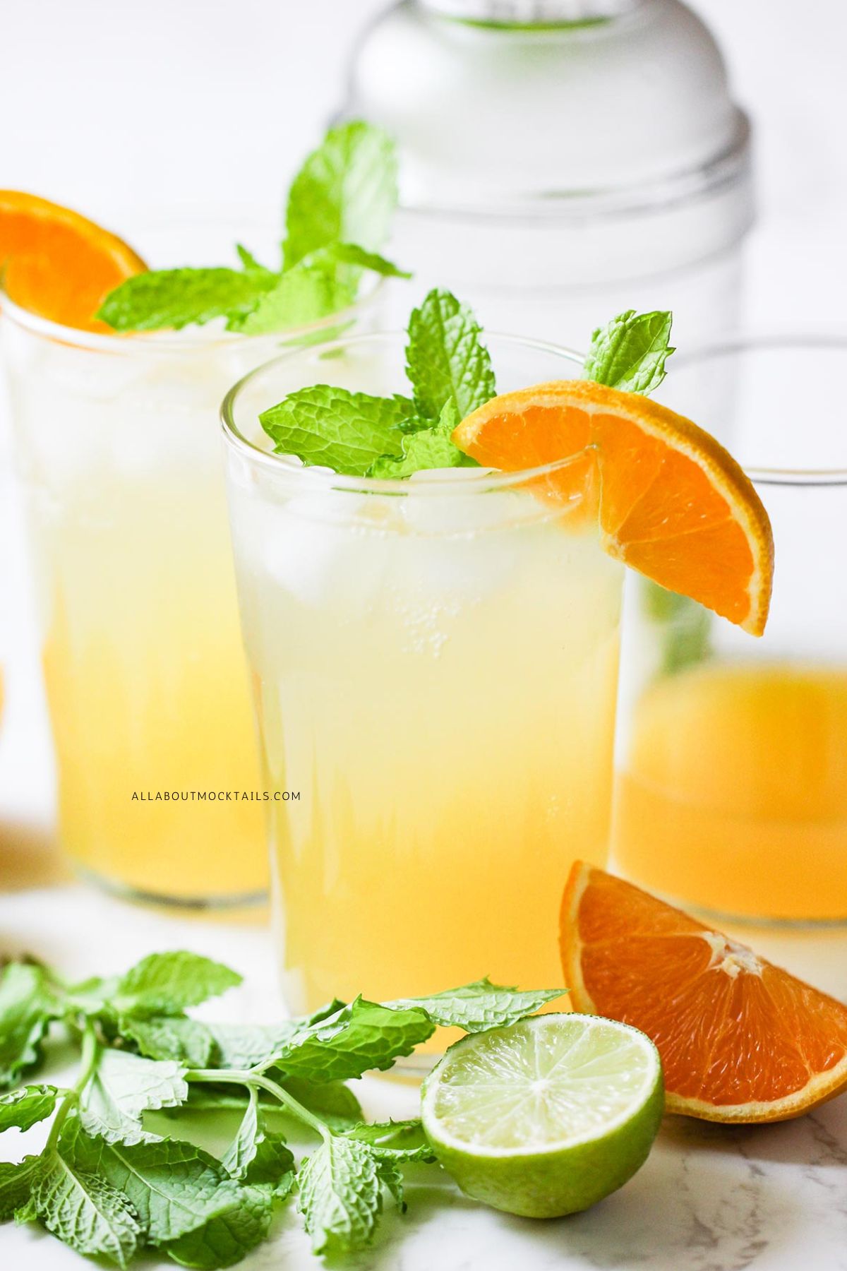Coconut Water Mocktail