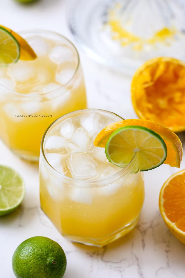 Ginger Beer Mocktail