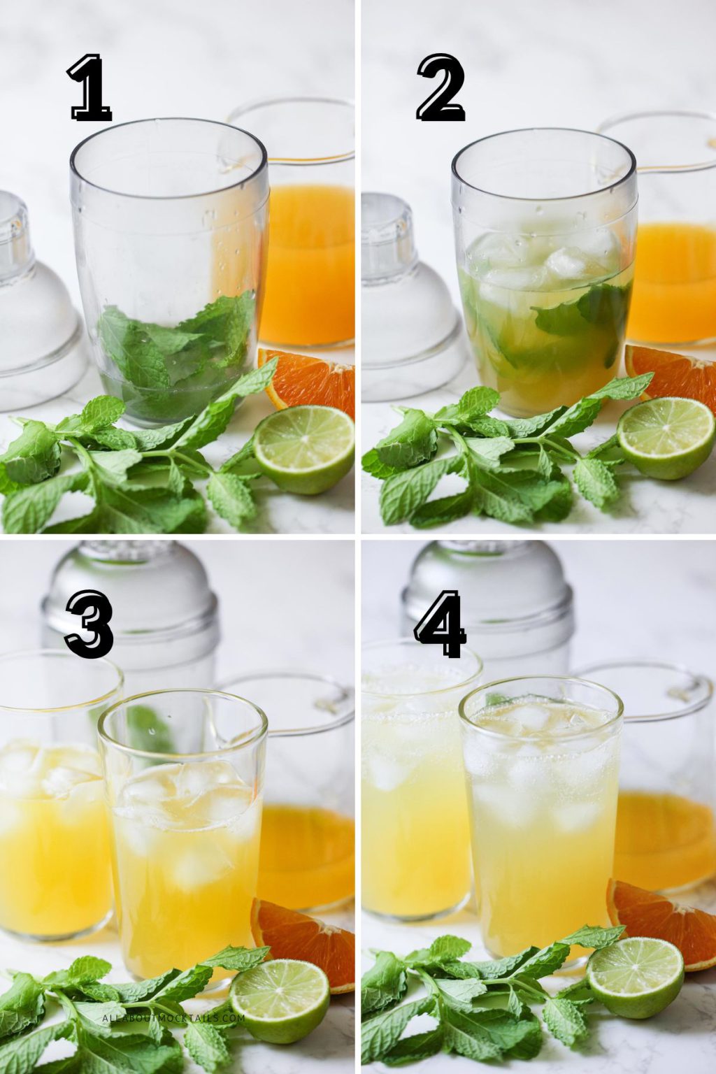 Coconut Water Mocktail